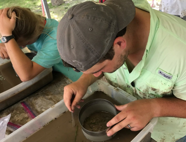 MSU study: Rice water weevil densities vary within a row-rice field ...